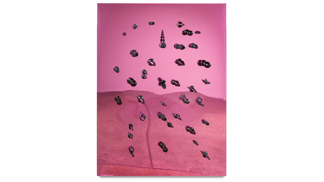 Dale Frank - Artist Profile