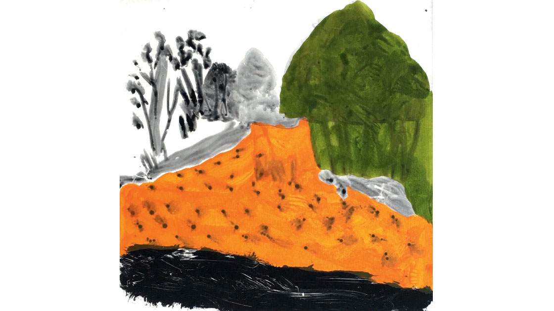 Idris Murphy | The art of the heliograph - Artist Profile