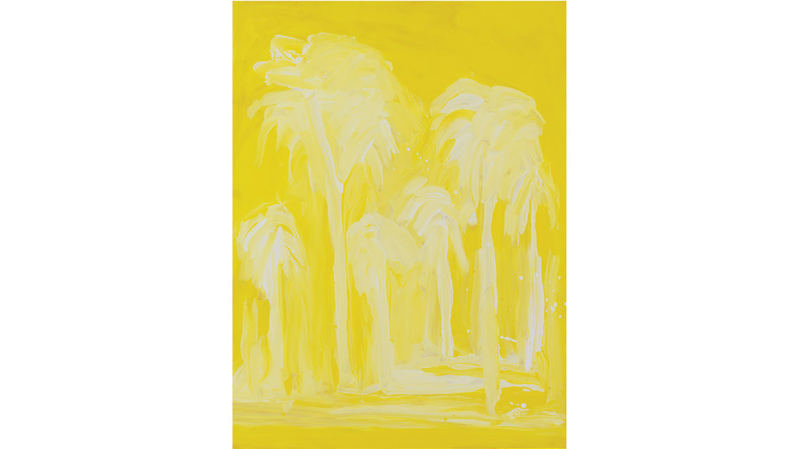 Jasper Knight: The Coral Coast - Artist Profile
