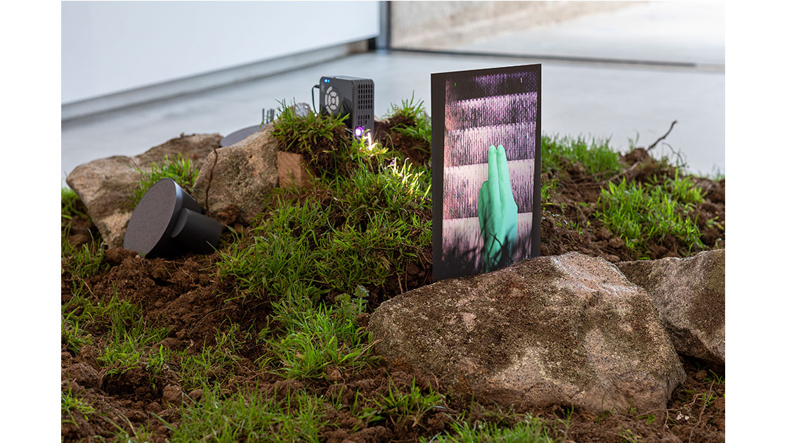 TarraWarra Biennial - Artist Profile